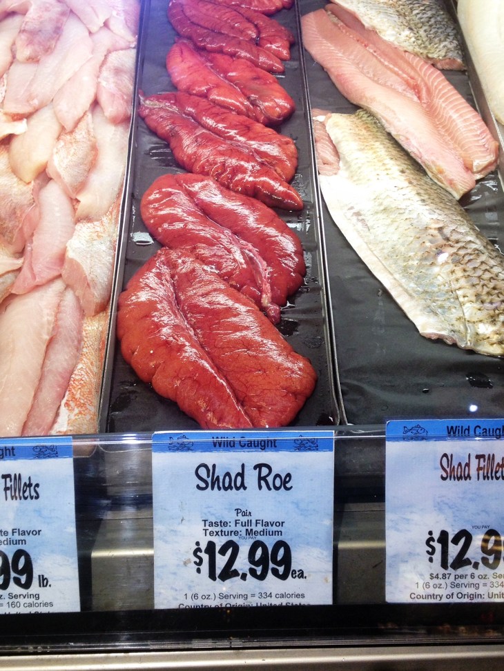 Shad Roe – One Vanilla Bean
