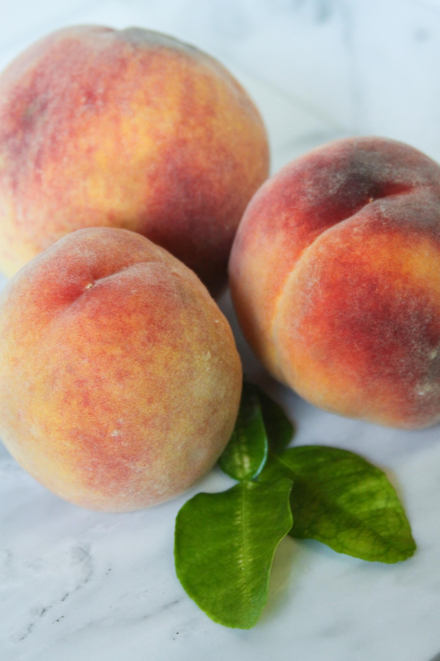 Poached Peaches with Vanilla Bean and Makrut Lime Leaves – One Vanilla Bean